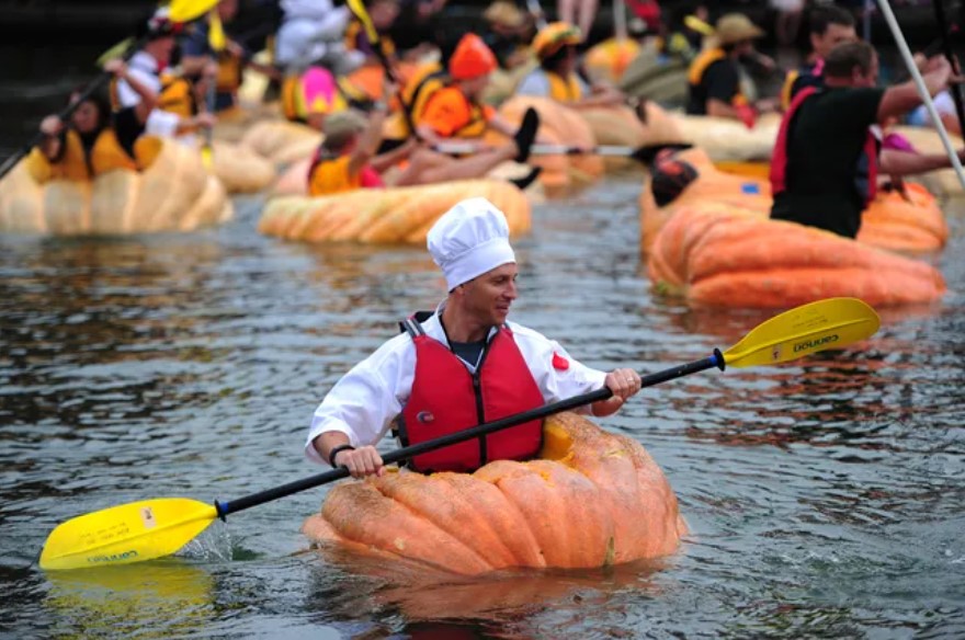 Sporting Insanity: Unveiling the Weirdest and Most Daring Moments on ...